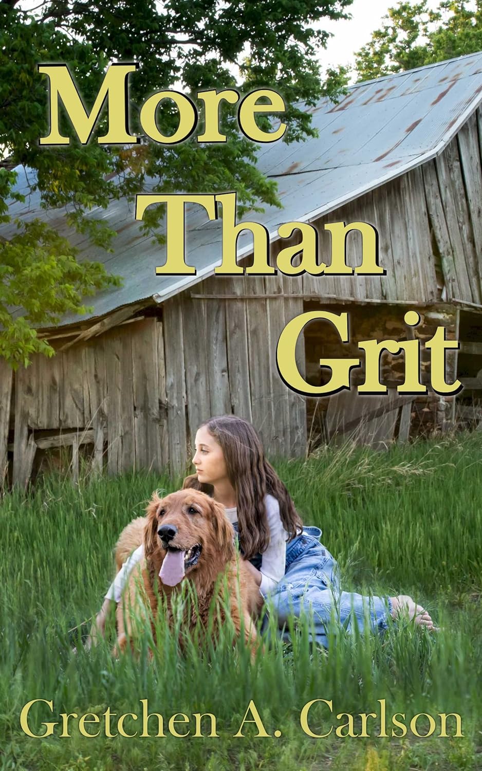 More Than Grit - Laura DeNooyer Author - Standout Stories